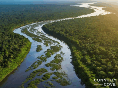 The Amazon River: Width, Wonders & What To Do
