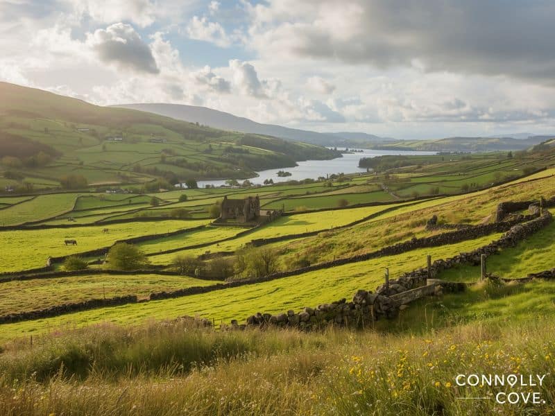 Summer in Ireland: Essential Guide for UK & Irish Travellers