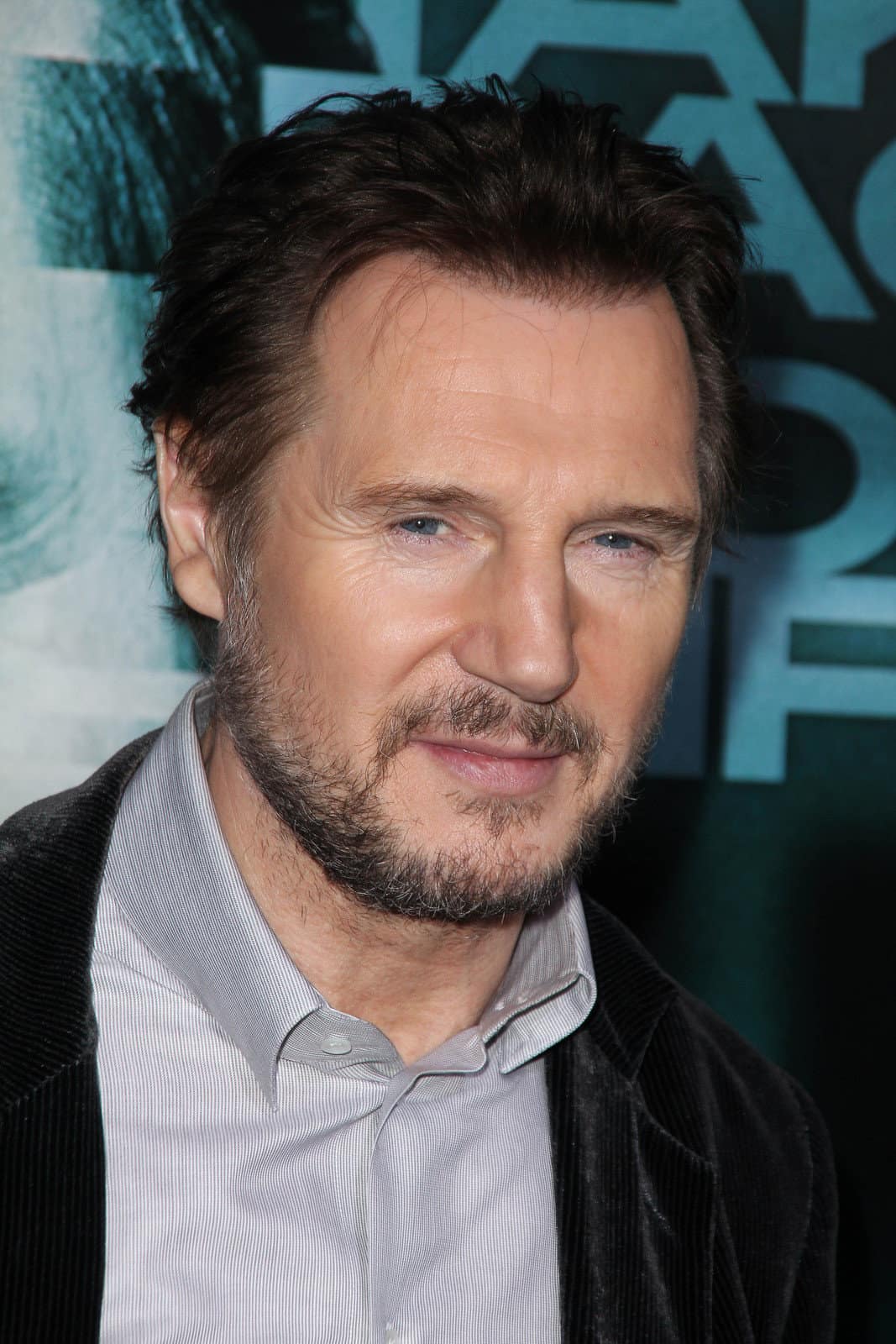Liam Neeson: Ireland's Favorite Action Hero - ConnollyCove