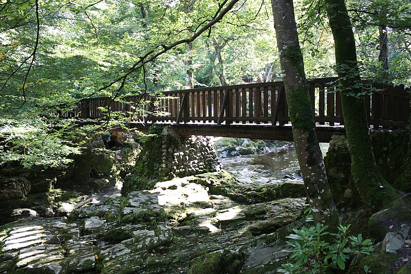 Tollymore Forest Park: Best Ultimate Travel Guide