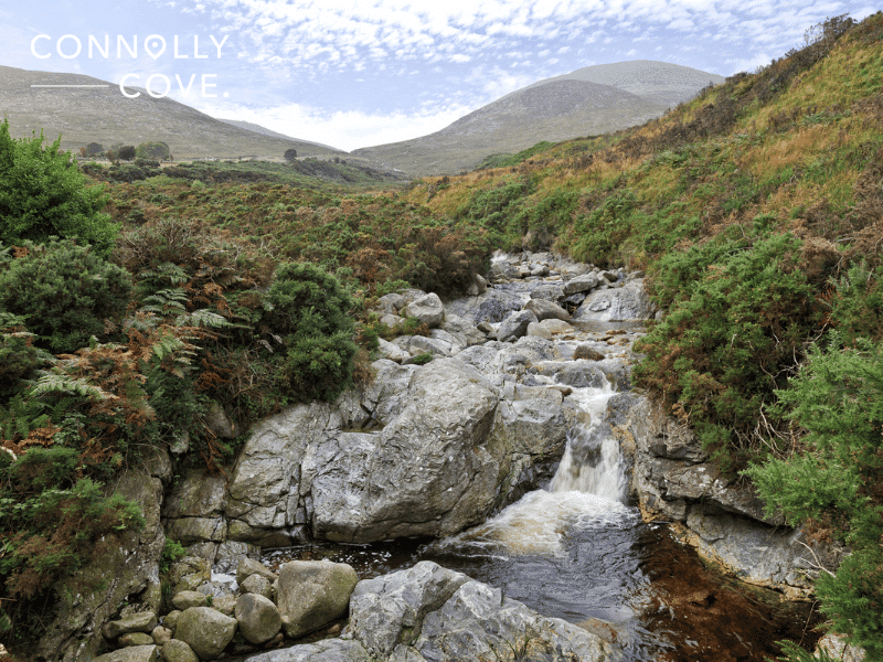 Exploring the Beautiful Slieve Doan: A Guide to Hiking Routes ...