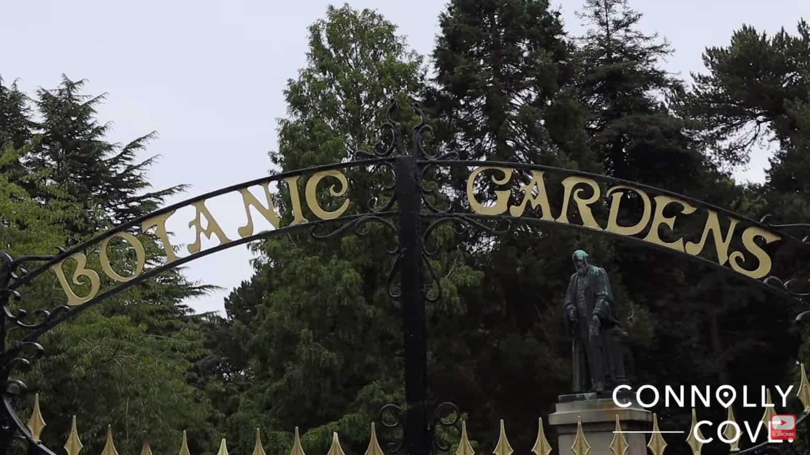 Botanic Gardens in Belfast: Nature, History & Relaxation