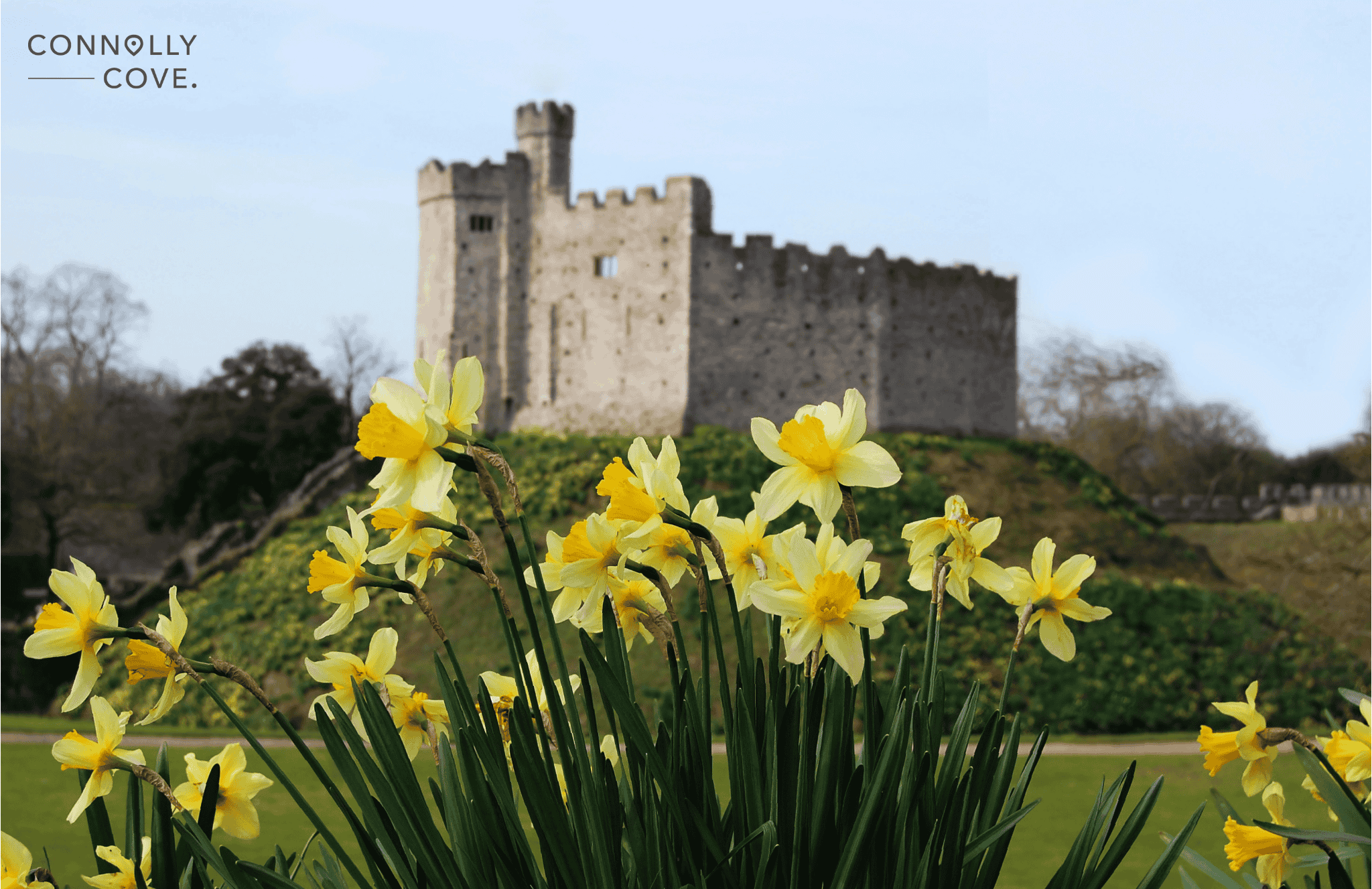 Cardiff Attractions: Discover The Welsh Capital - ConnollyCove