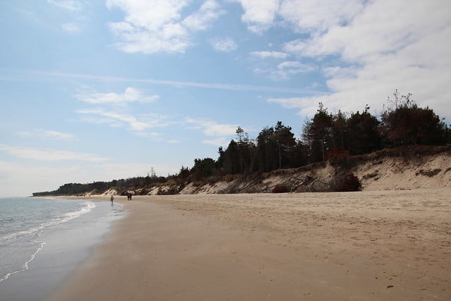 Curracloe Beach: A Touch of Film Magic - ConnollyCove