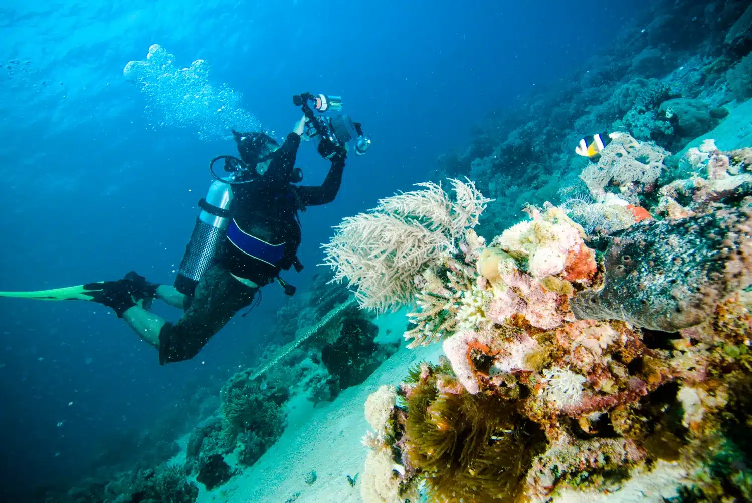 World’s Best Diving Spots: Dive into Epic Adventures