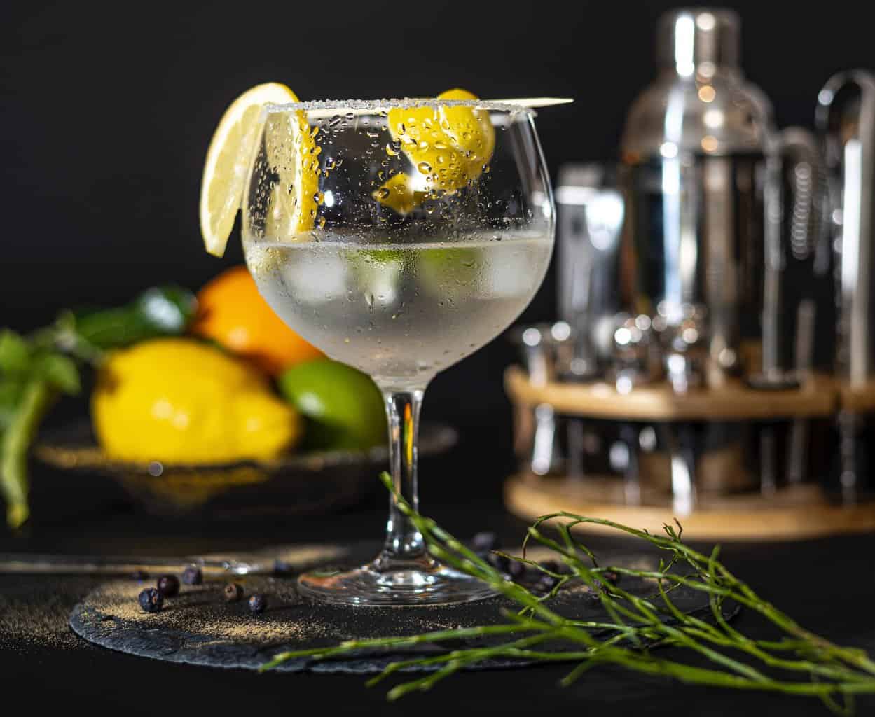 Gin Bars in Birmingham: 12 Amazing Venues - ConnollyCove