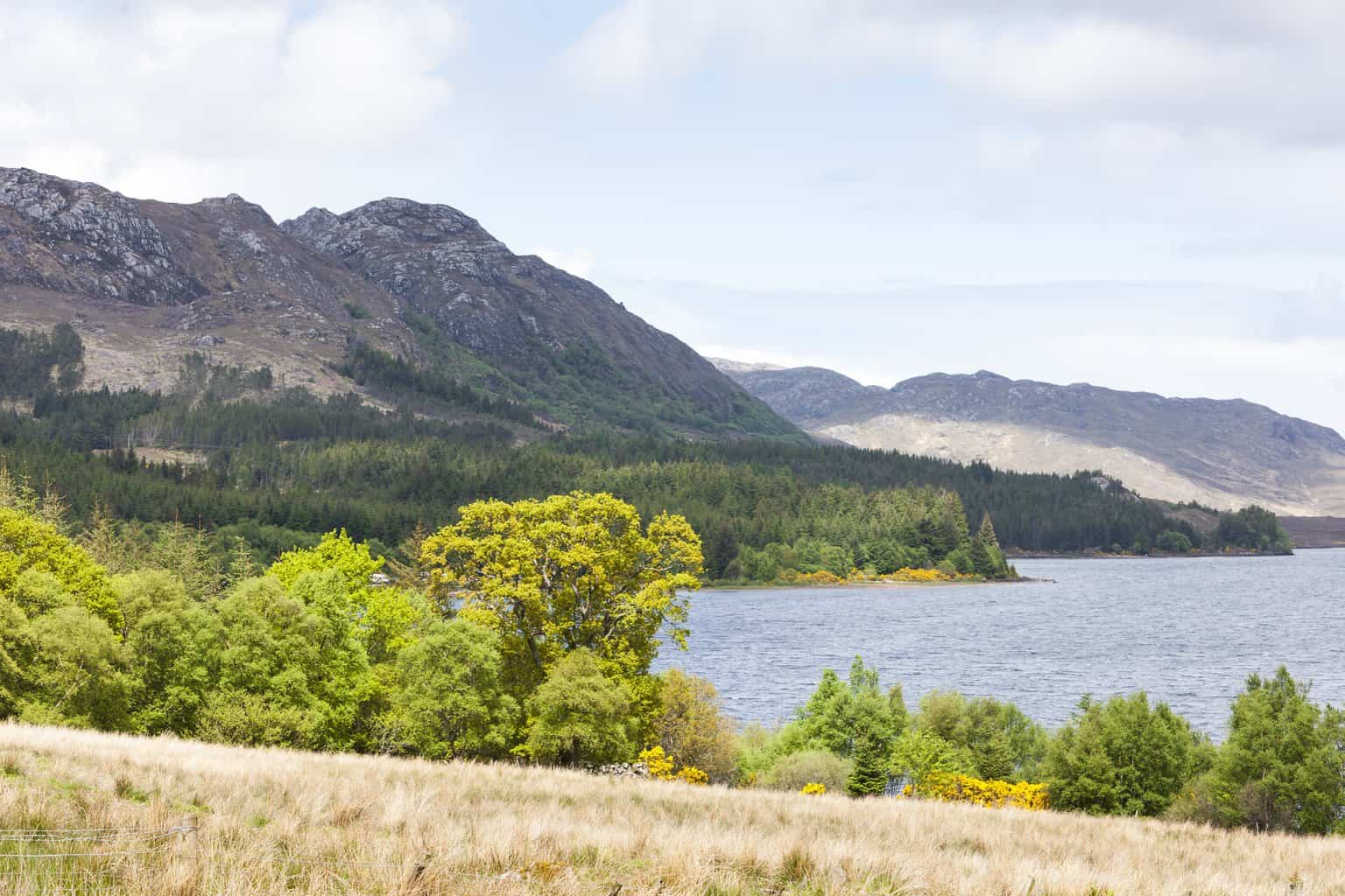 Explore The Scottish Nature: Top 10 Scotland Parks To Visit - ConnollyCove