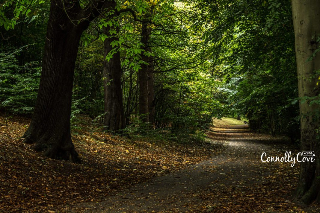 Ormeau Park Belfast - An Excellent Park Opened in 1871 - ConnollyCove