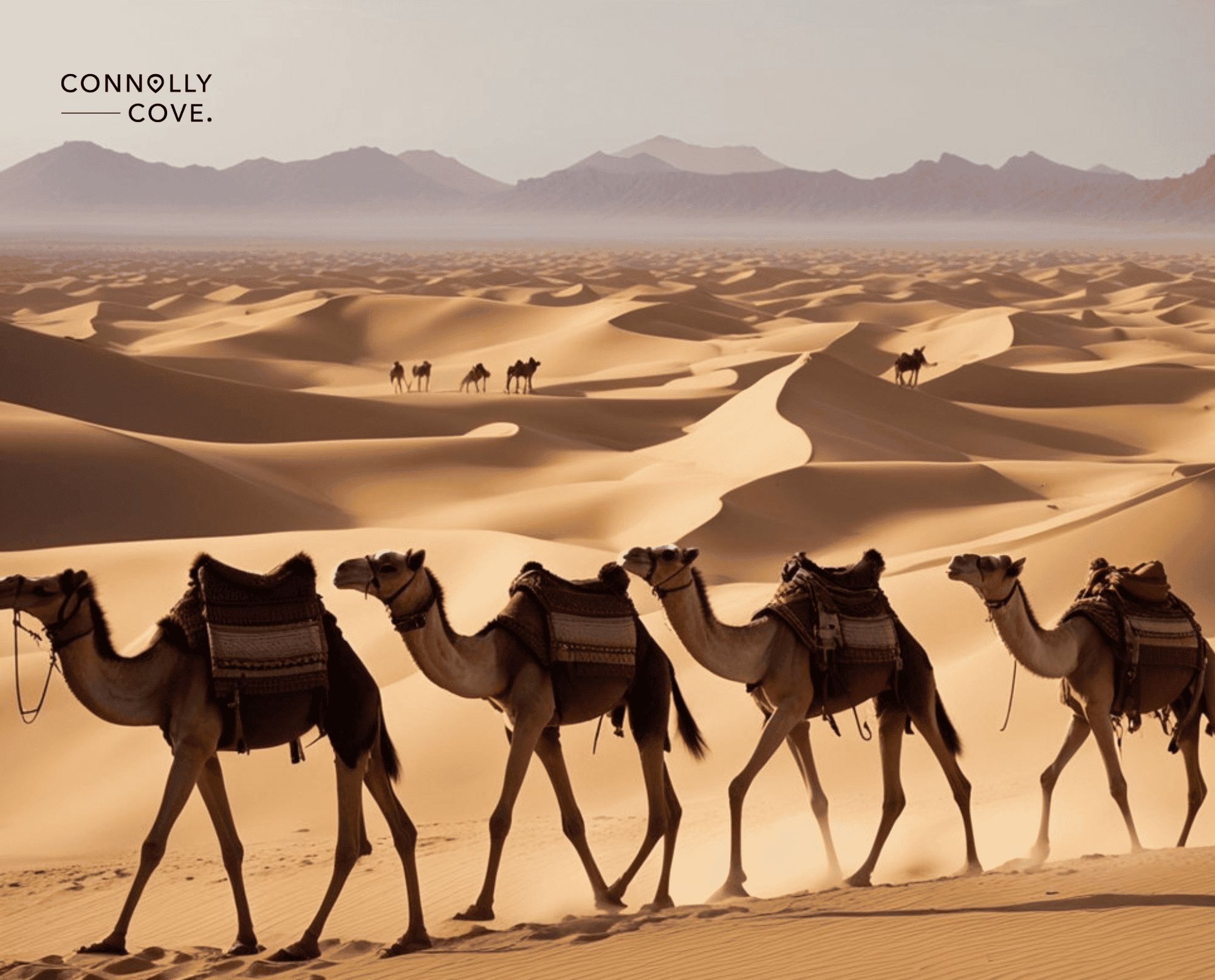Rediscovering of the Sahara: The Great Ancient Trade Routes - ConnollyCove