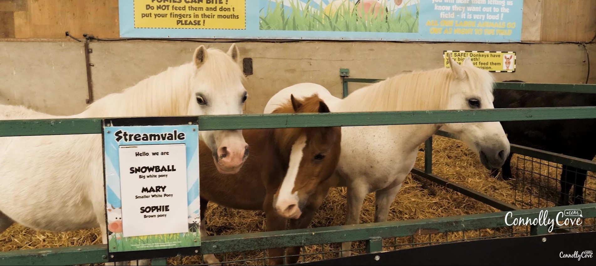 Streamvale Open Farm: Belfast with Kids Guide - ConnollyCove