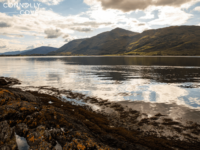 Things to Do in Scotland in August: Enjoy Festive Adventures