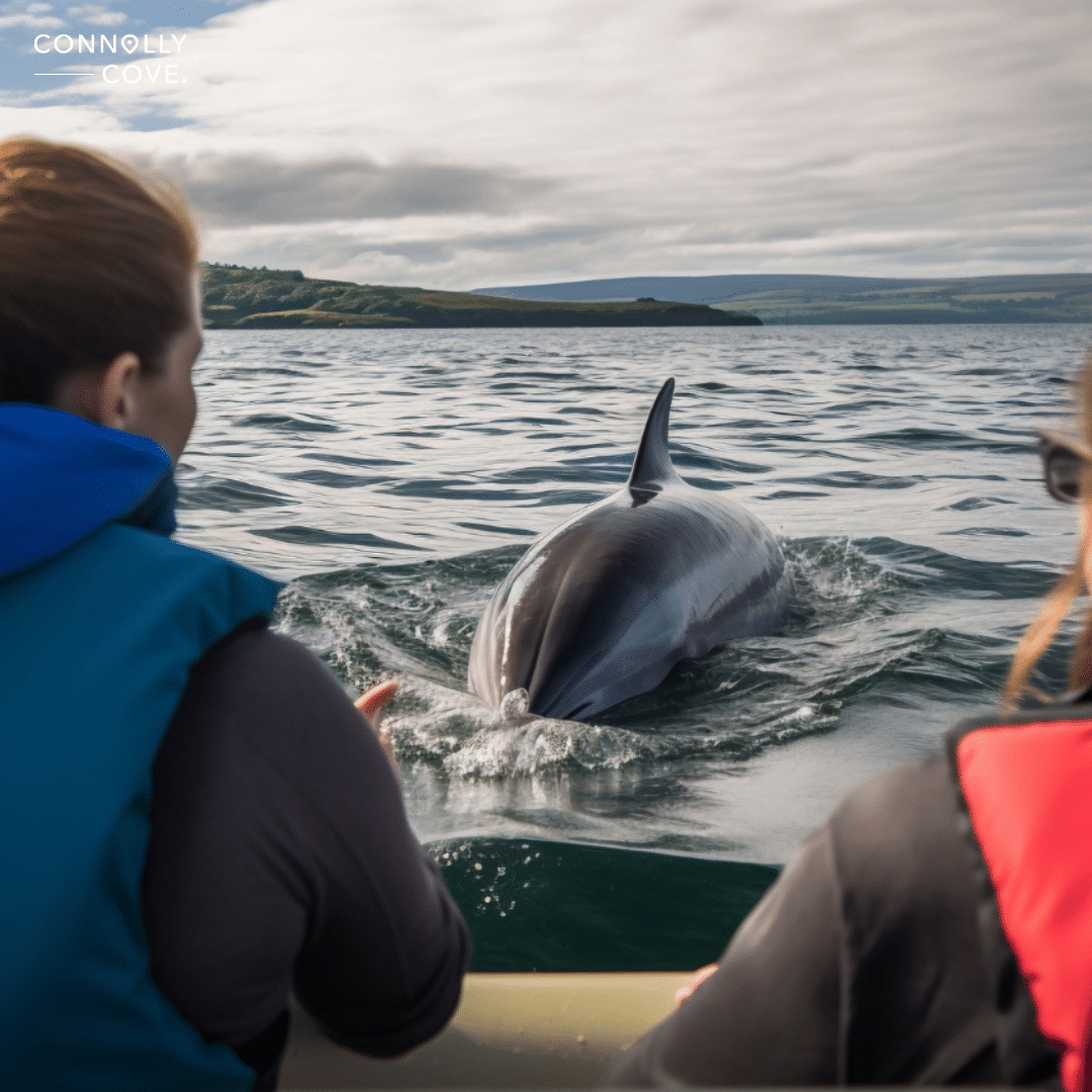 Discover Dolphin and Whale Watching in Ireland: Top Spots