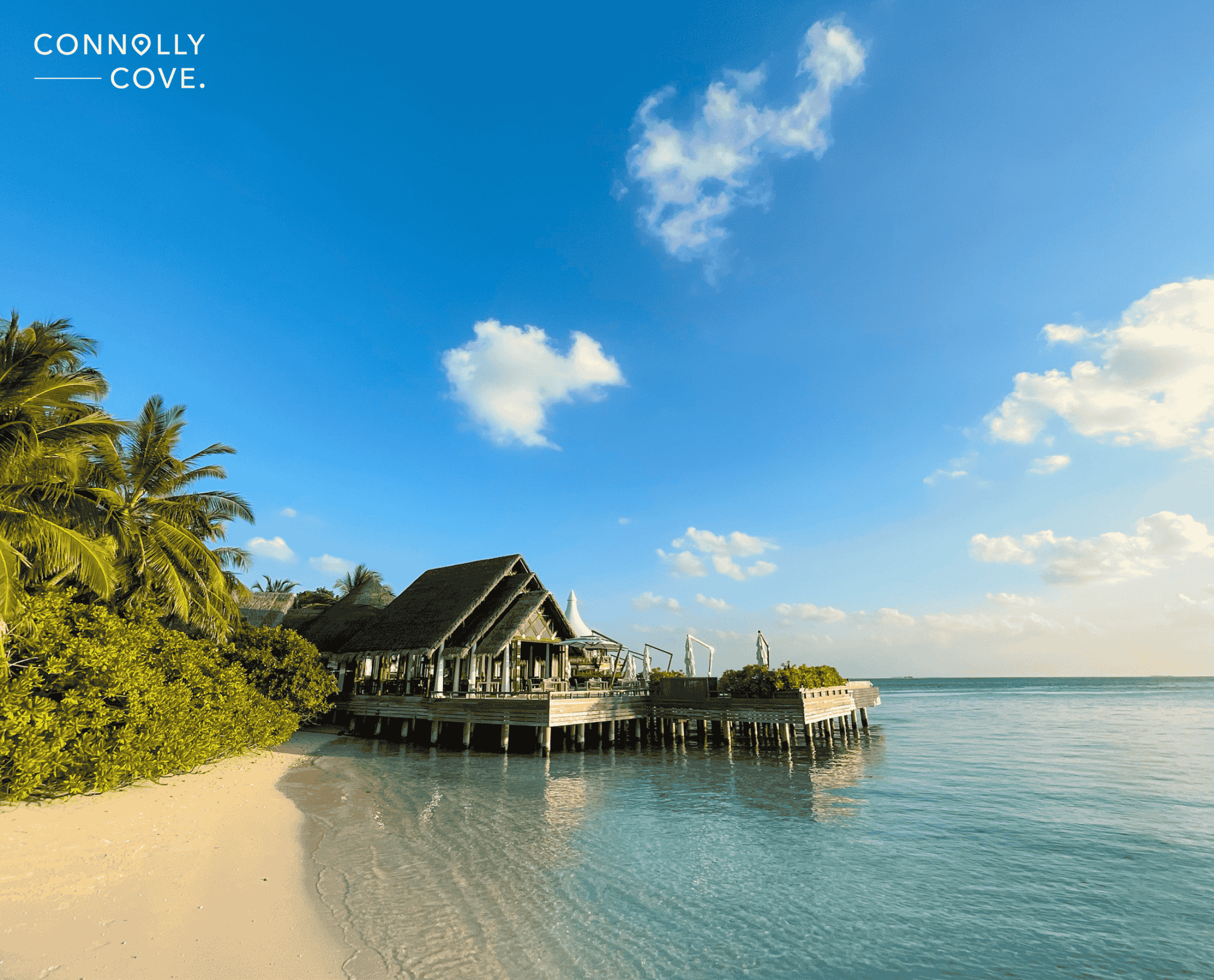 Tourism Statistics in the Maldives: Key Insights from 2019 to 2024