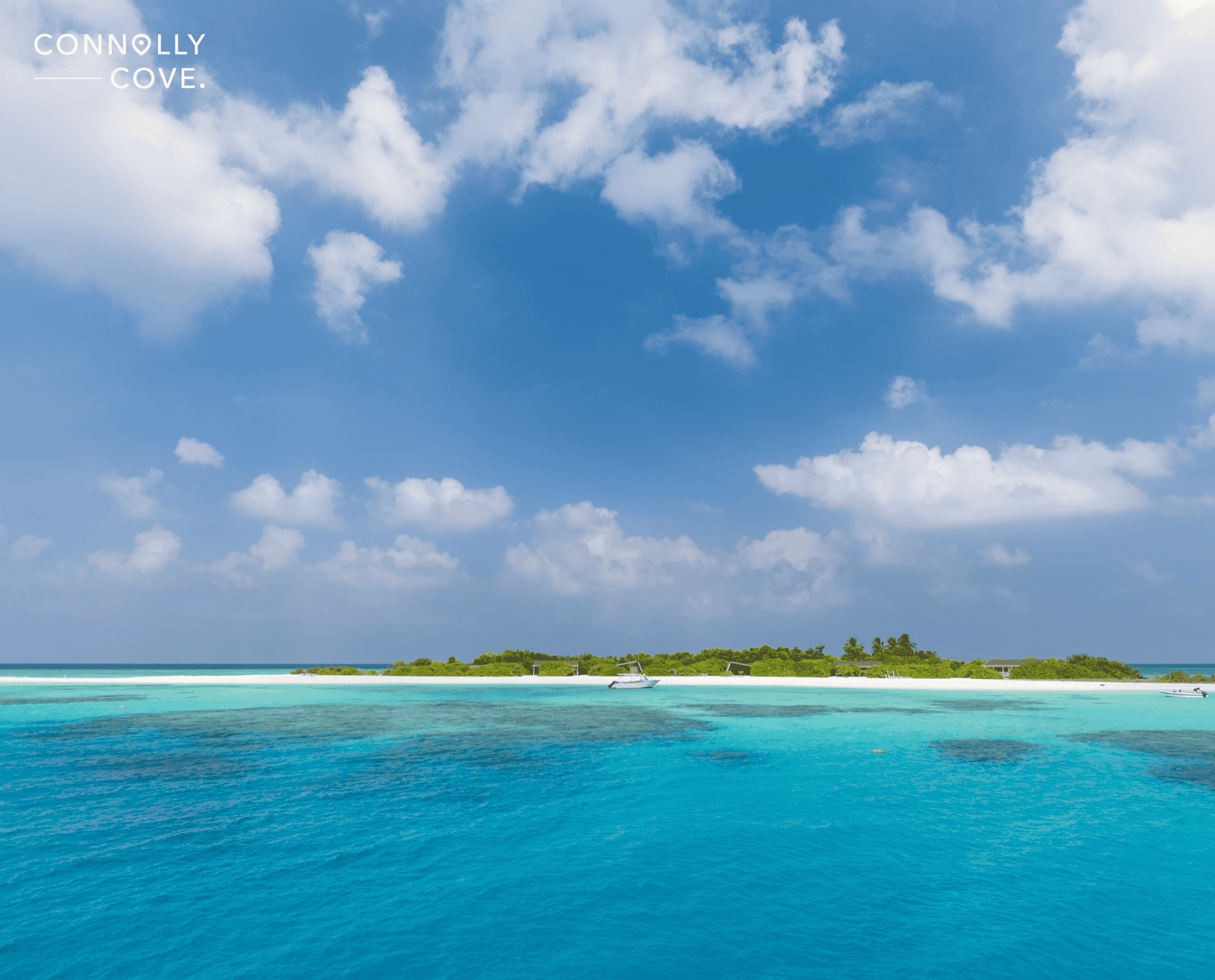 Tourism Statistics in the Maldives: Key Insights from 2019 to 2024