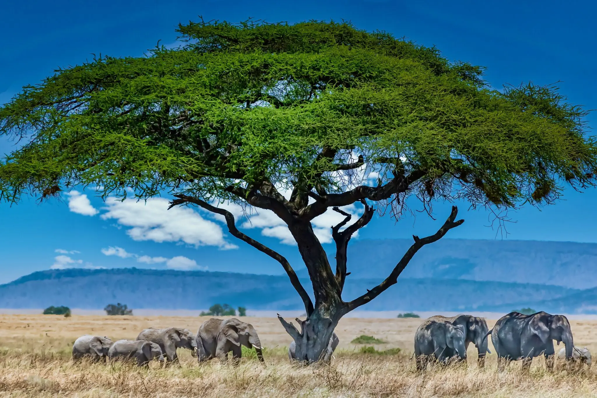 Kenya Tourism Statistics: An Increase in International Tourist Arrivals ...