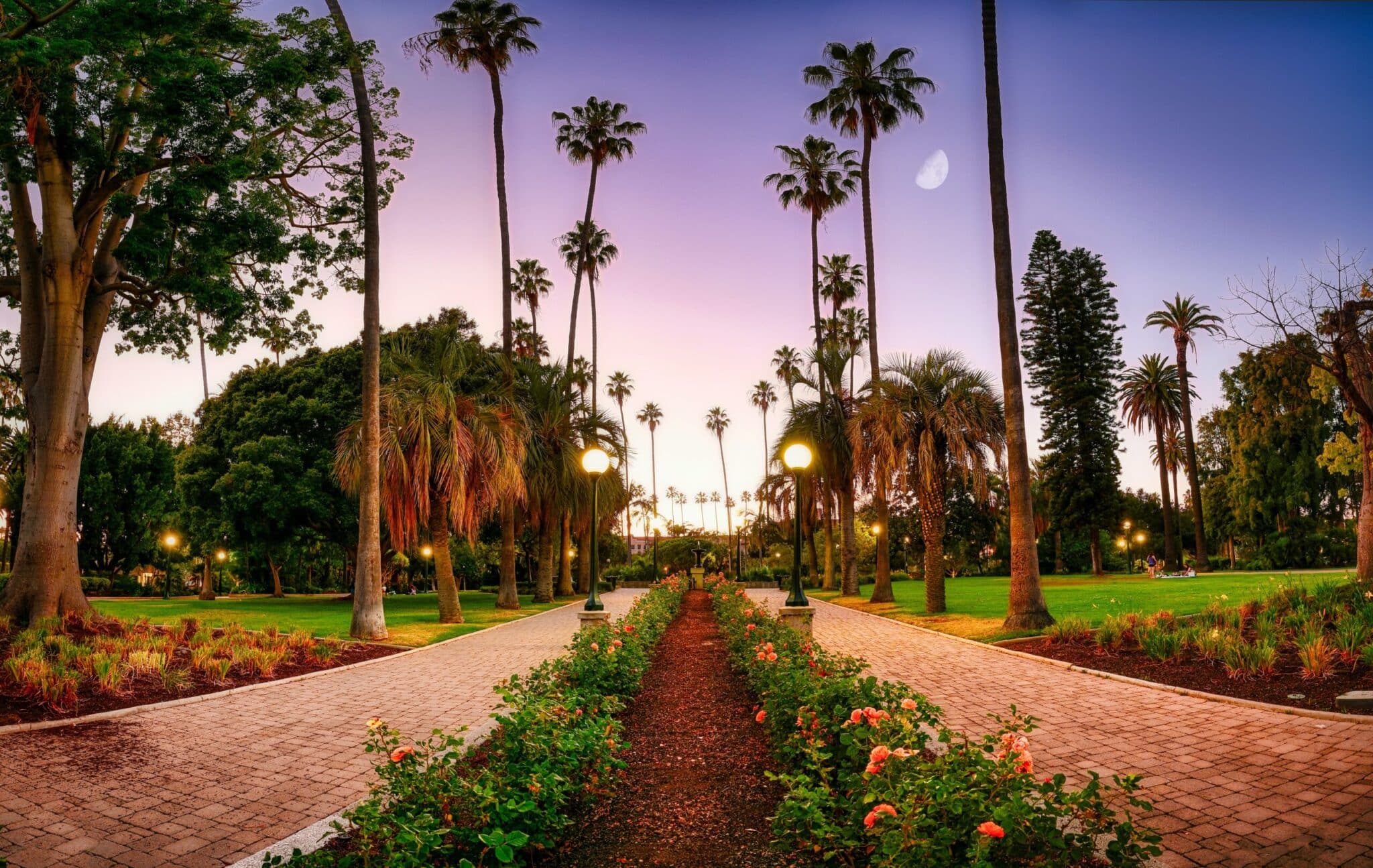 Explore Beverly Hills: A Premier Southern California Destination