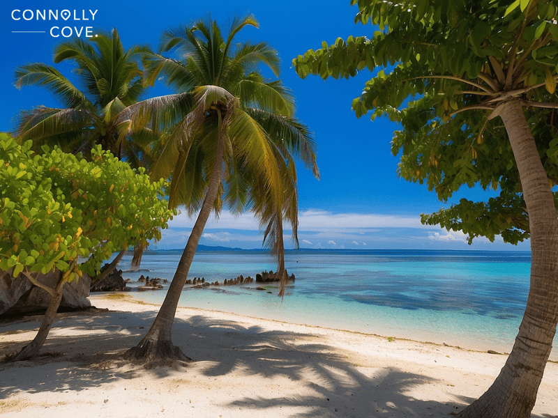 Your Ultimate Panglao Island Guide: Tips for First-Timers