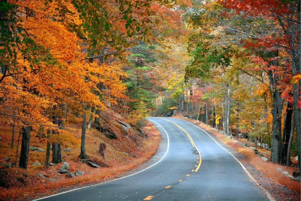 Best Fall Foliage Destinations Around the World to Visit