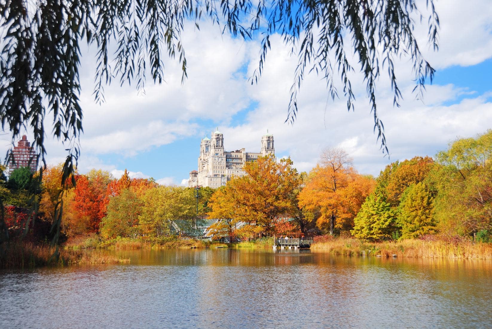 Best Fall Foliage Destinations Around the World to Visit