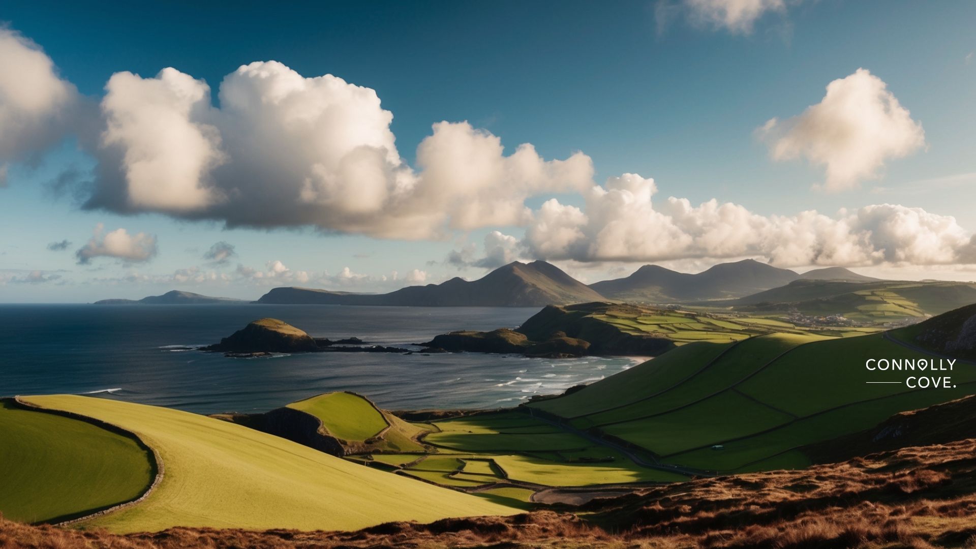 Gaelic Ireland: History and Heritage Guide